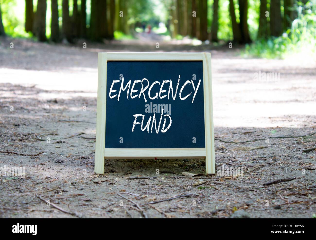 Emergency Fund symbol. Concept word Emergency Fund on chalk blackboard ...
