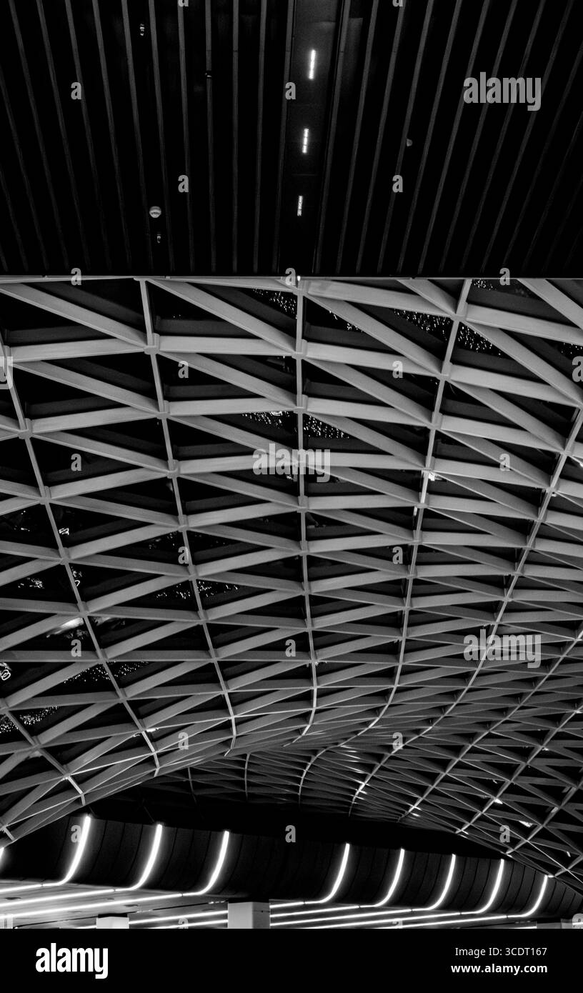 Diverse Architectural patterns forming interior ceiling structure with ...