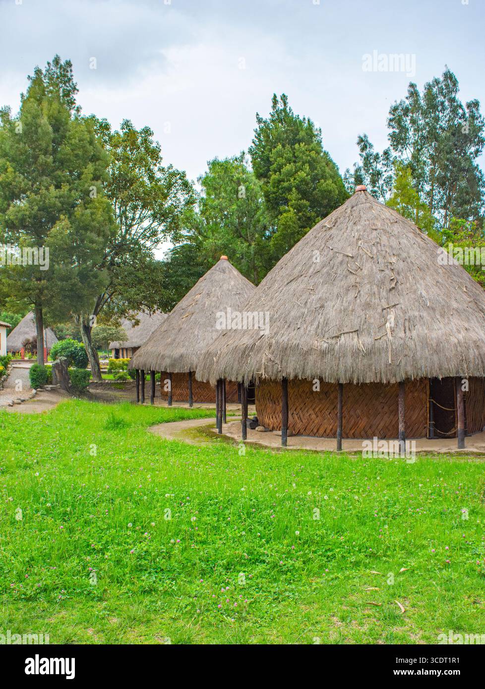 Traditional grass-roofed huts surrounded by lush greenery at the Sun ...
