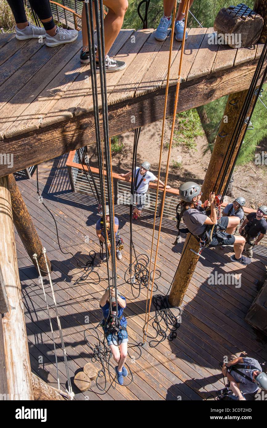 Members of a guided zip-line tour wearing climbing harness ascending ...