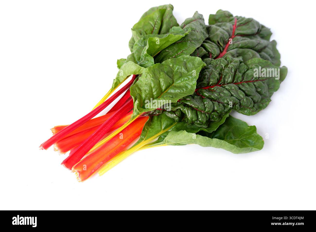 Leaf petioles Cut Out Stock Images & Pictures - Alamy