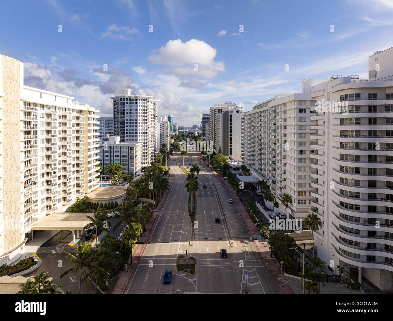 Urban traffic collins avenue road cars palm trees hi-res stock ...