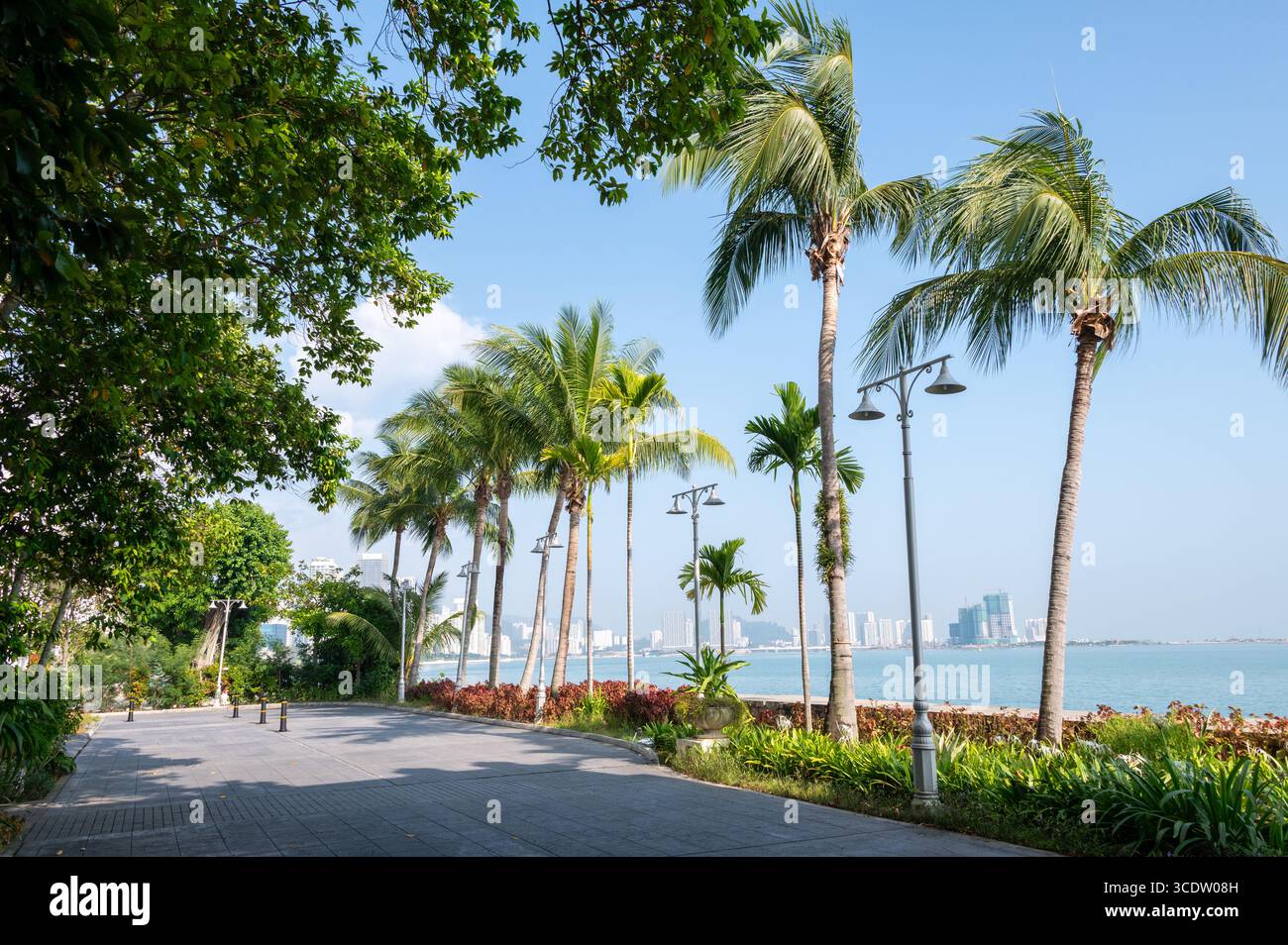 A seafront with swaying palm trees at the Eastern & Orient Hotel ( E&O ...