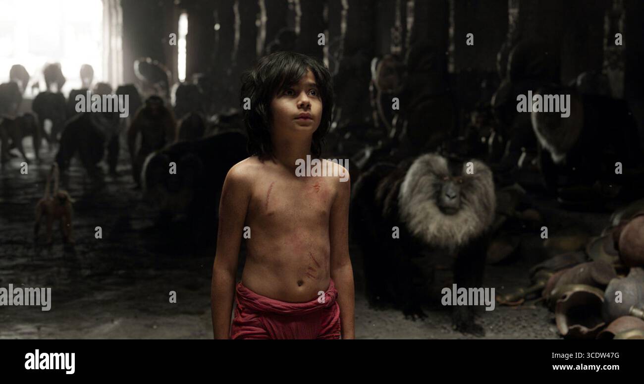 The Jungle Book is a 2016 American fantasy adventure film directed and ...