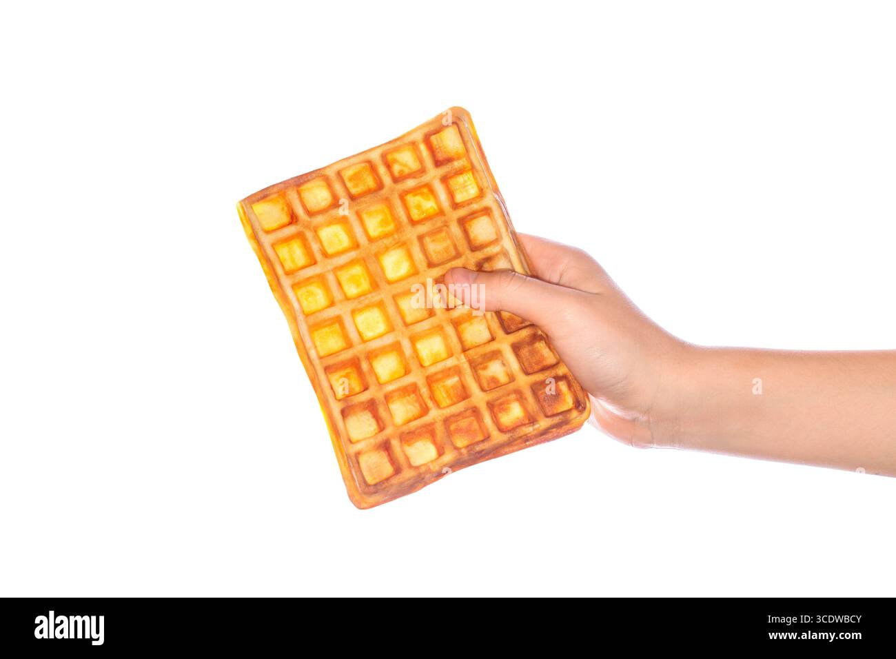 Girl hand holding waffle, isolated on white background. Holding waffles ...