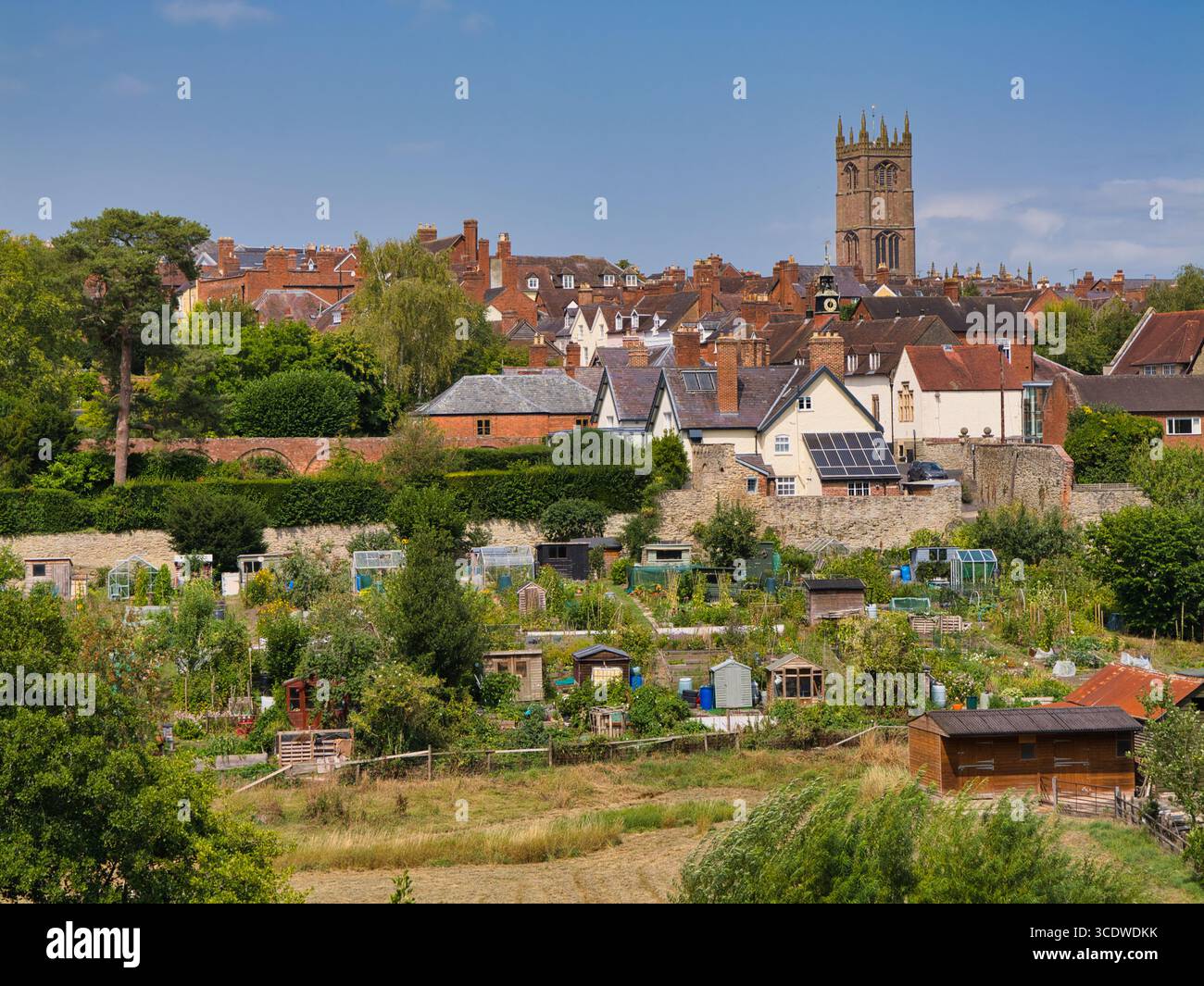 Ludlow, UK - Aug 09 2025: Community allotments below red-brick rooftops ...