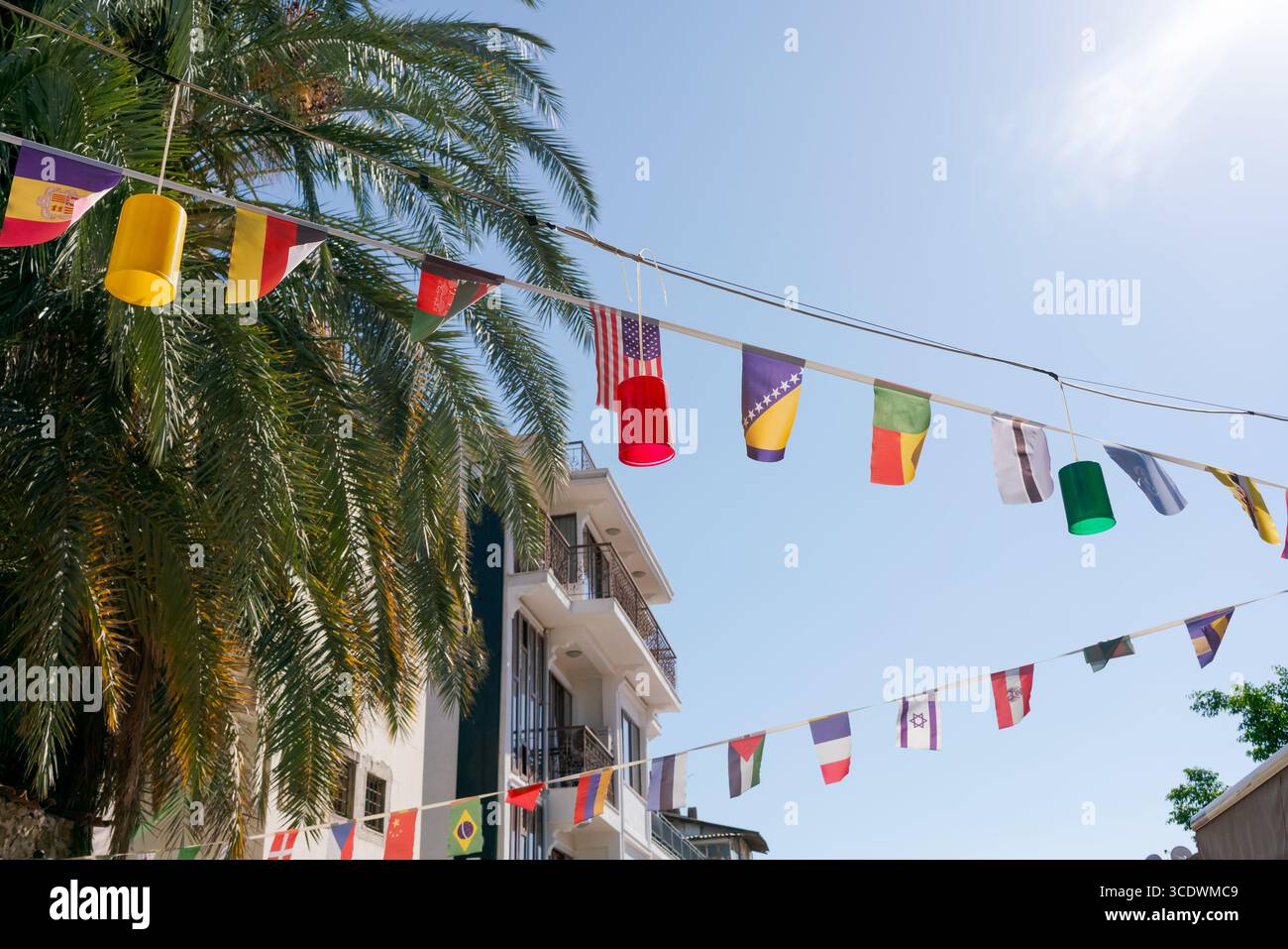 Bunch of flags hanging from a tree. The flags are of different colors ...