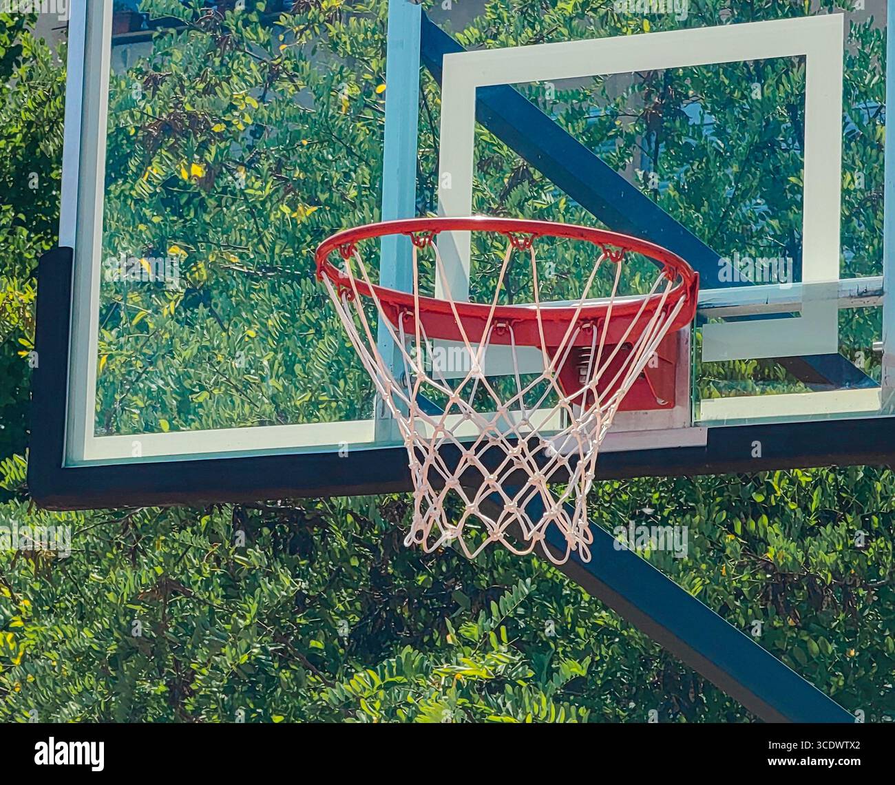 Simple nature composition hi-res stock photography and images - Alamy