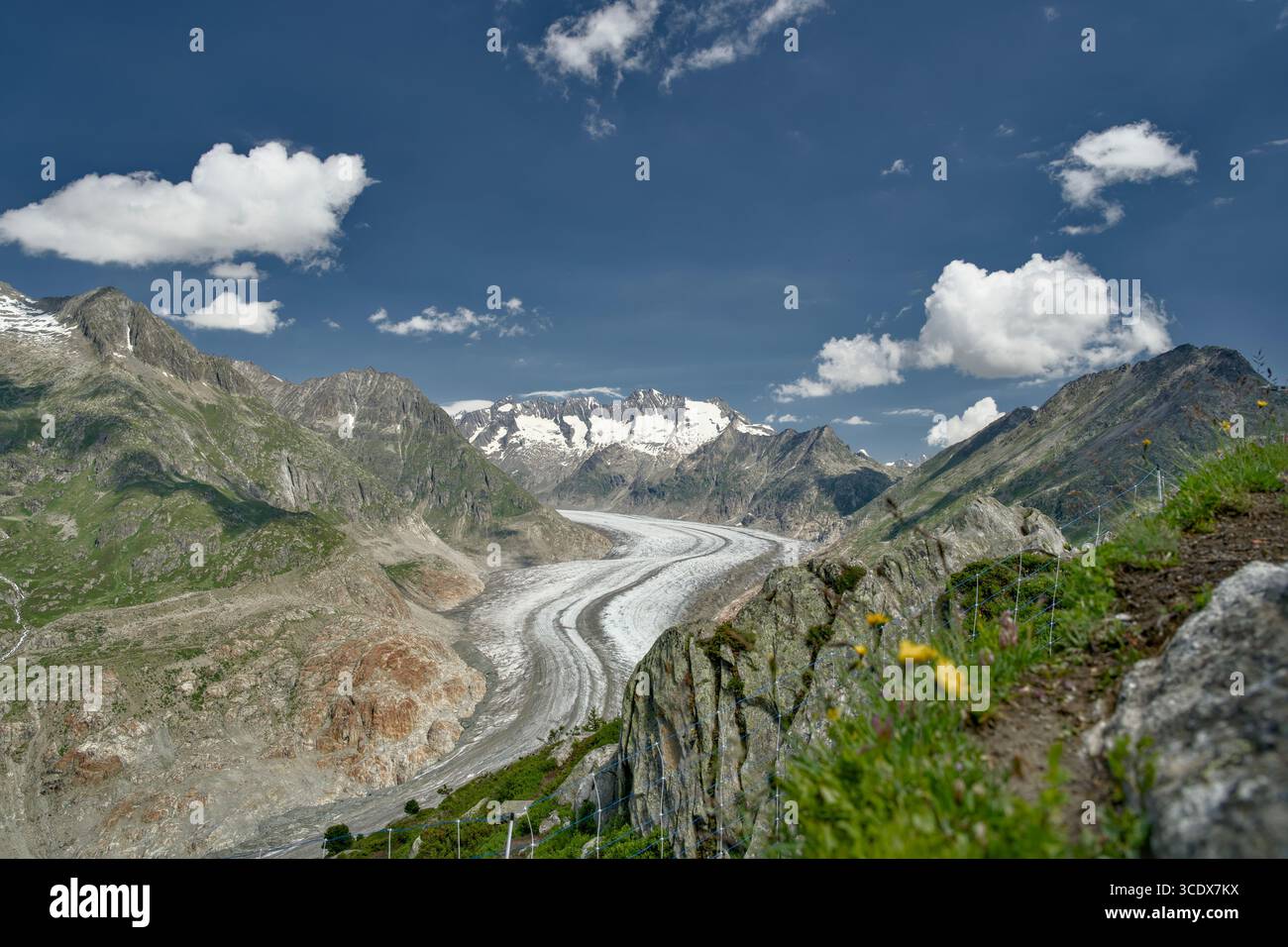 Photographs of the Aletsch Glacier, taken from Riederalp in the Rhone ...