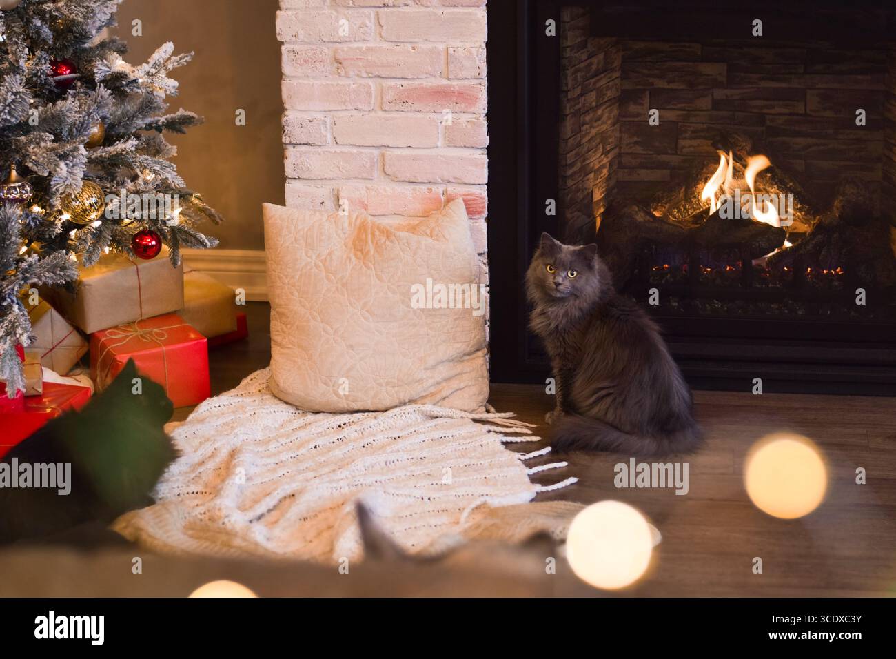 Cute cats sitting in front of christmas tree with presents and ...