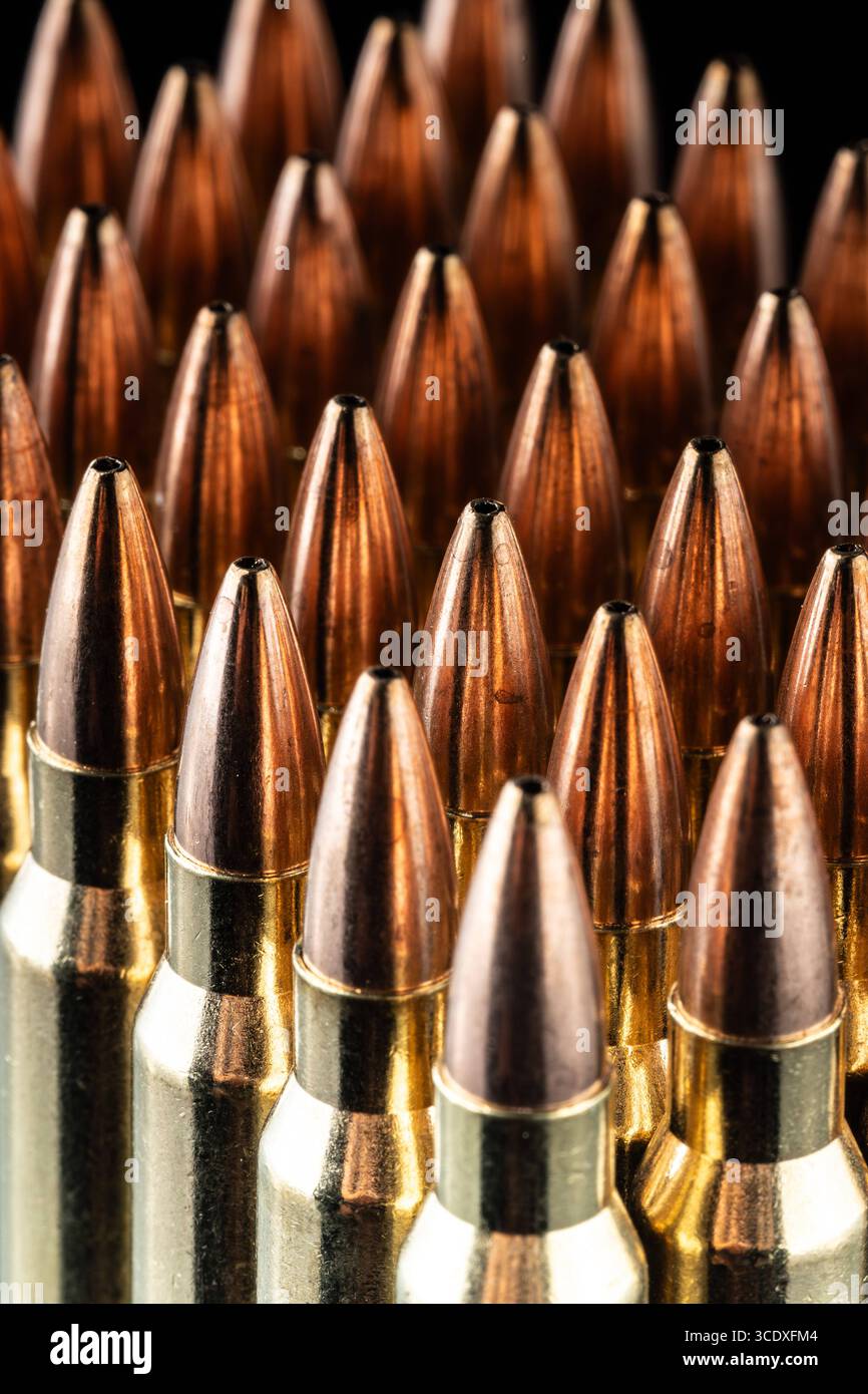 Patronen im Kaliber .223 Remington eines Sportschützen stehen auf einer ...