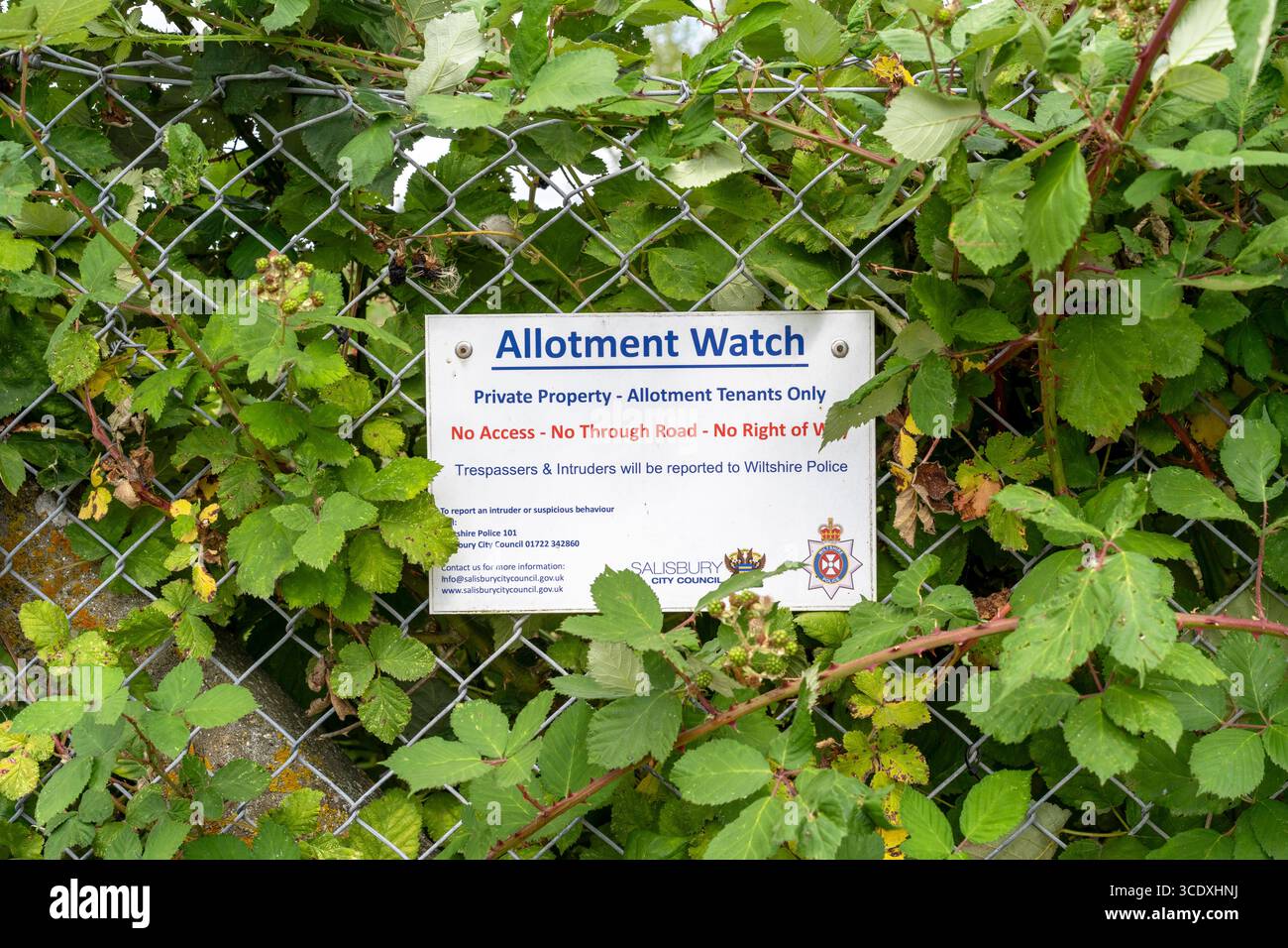 Brambles allotment hi-res stock photography and images - Alamy