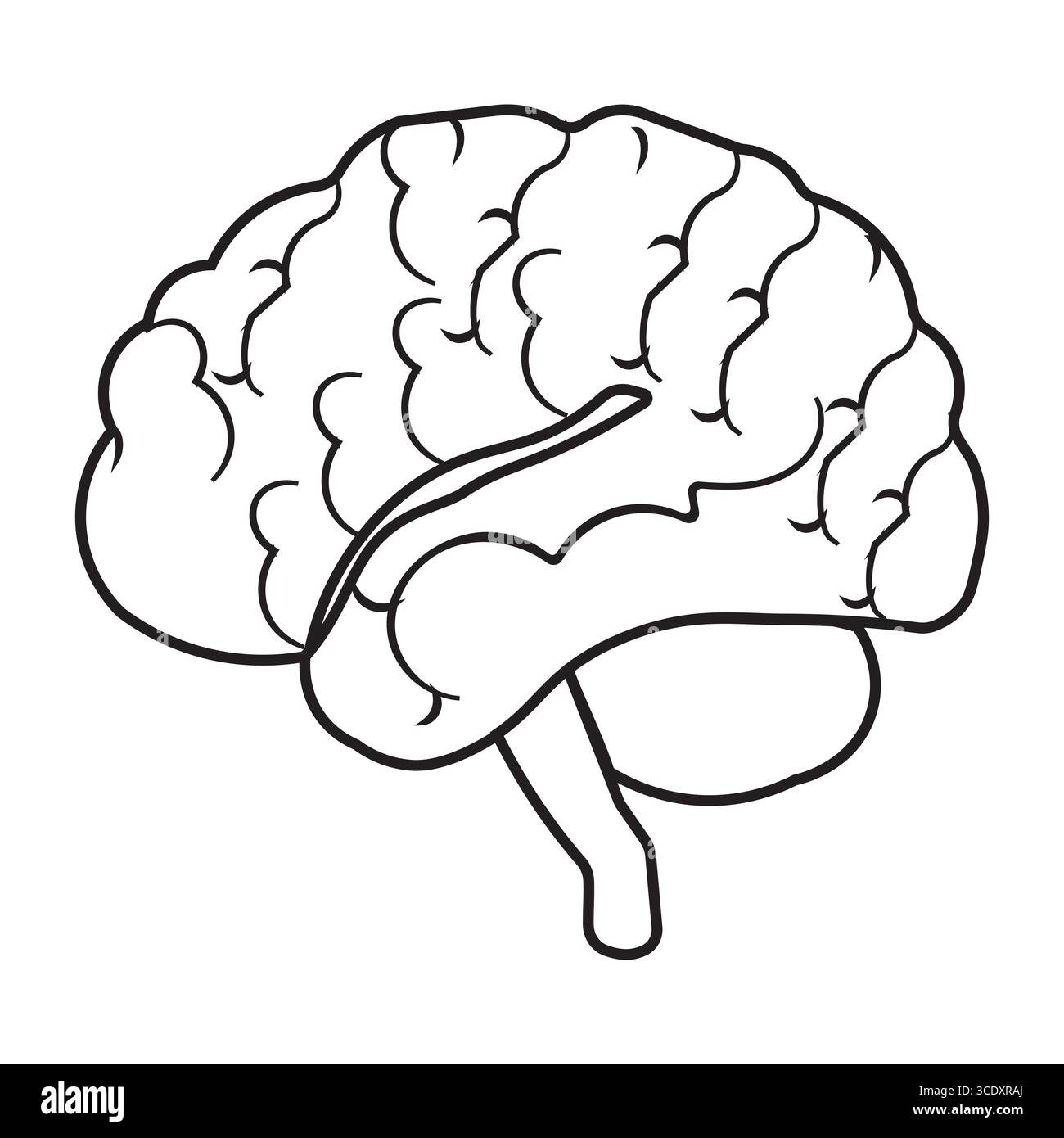 Human brain icon with editable stroke, Simple brain diagram ...