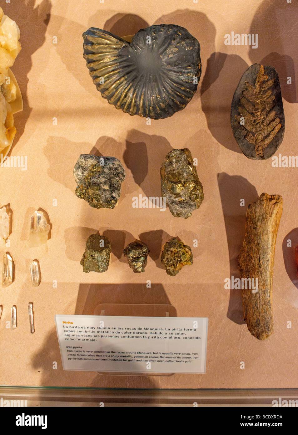 Showcasing various geological specimens hi-res stock photography and ...