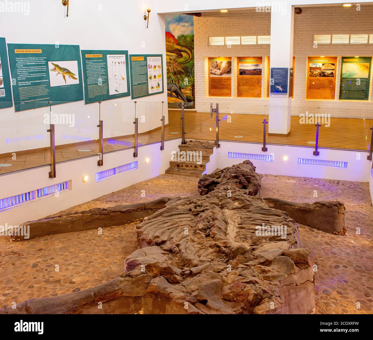 Inside El Fósil Museum in Villa de Leyva, showcasing an impressive ...