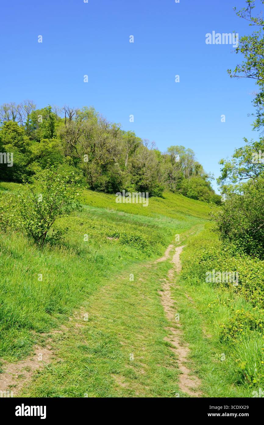 Weston combe south devon hi-res stock photography and images - Alamy