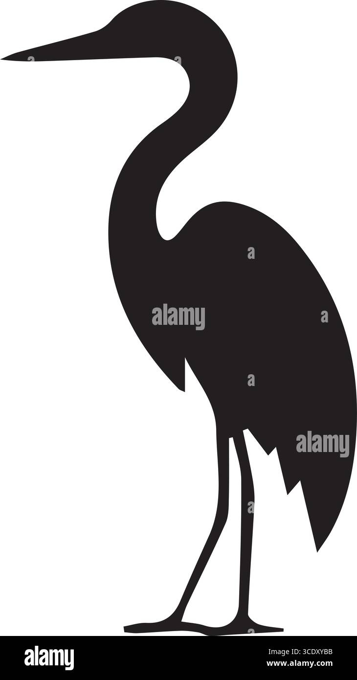 Bird illustration scientific Cut Out Stock Images & Pictures - Alamy