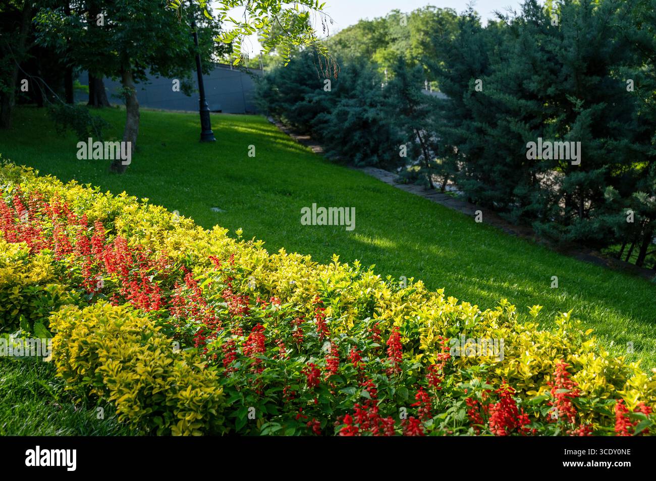 Flower trees blur background hi-res stock photography and images - Alamy