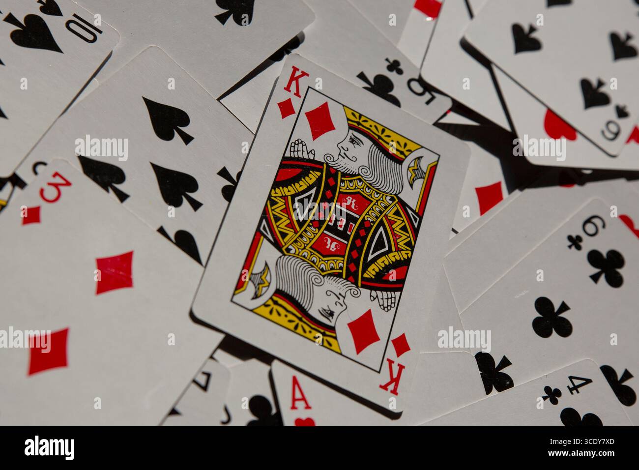 The playing cards scattered all over the floor, with the King card in ...