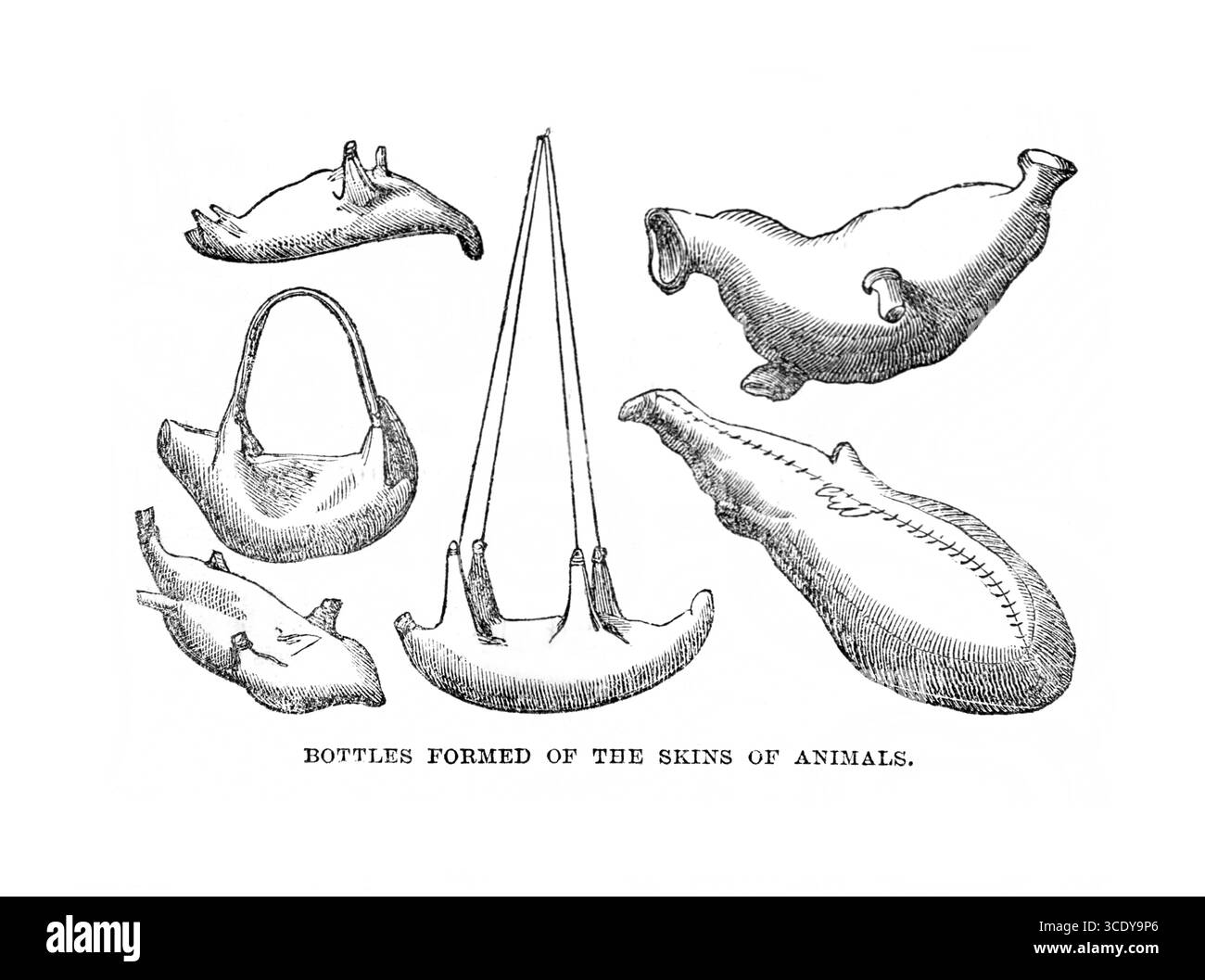 Illustration of Bottles Formed of the Skins of Animals used in Biblical ...