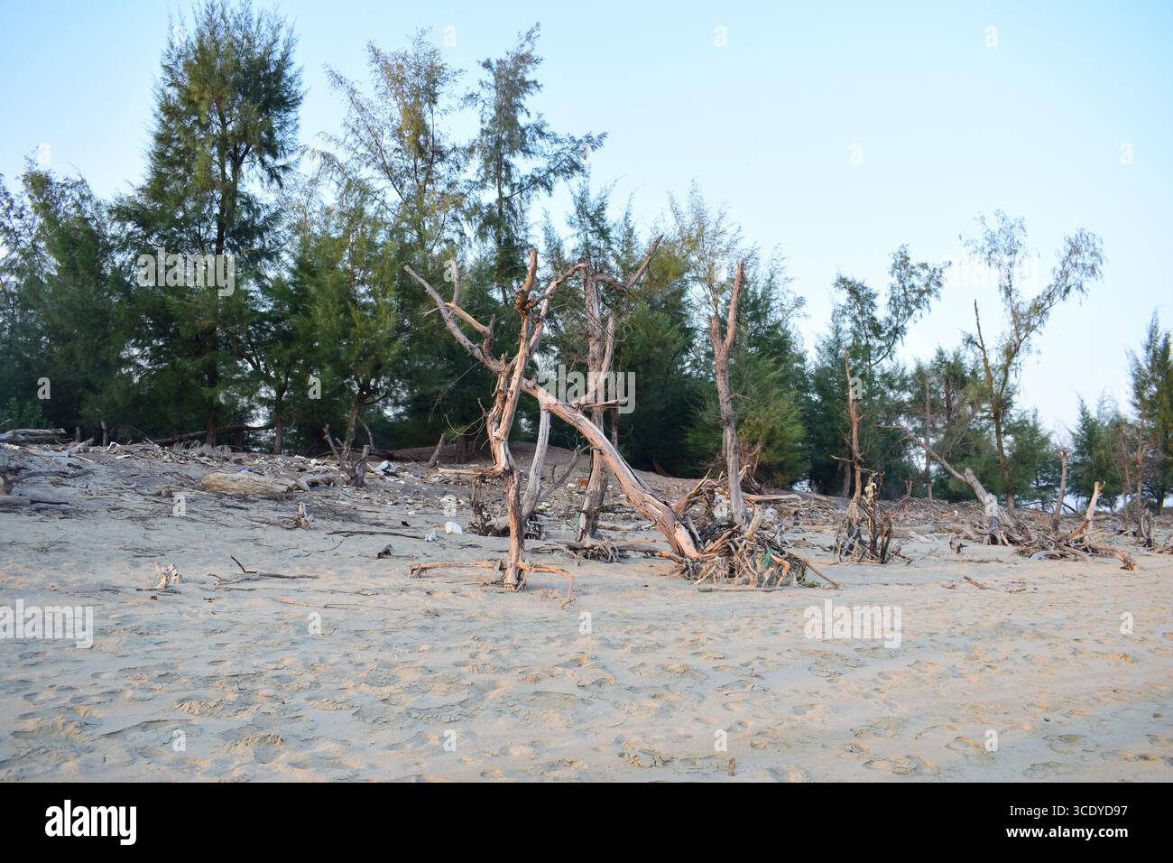 Aerial view deforestation tree cutting hi-res stock photography and ...