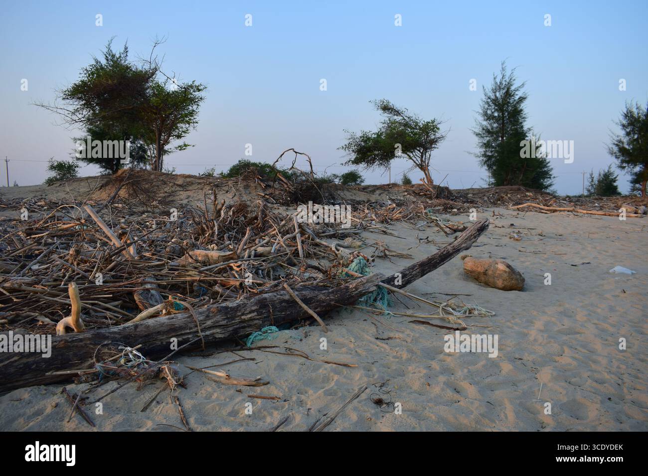 Aerial view deforestation tree cutting hi-res stock photography and ...