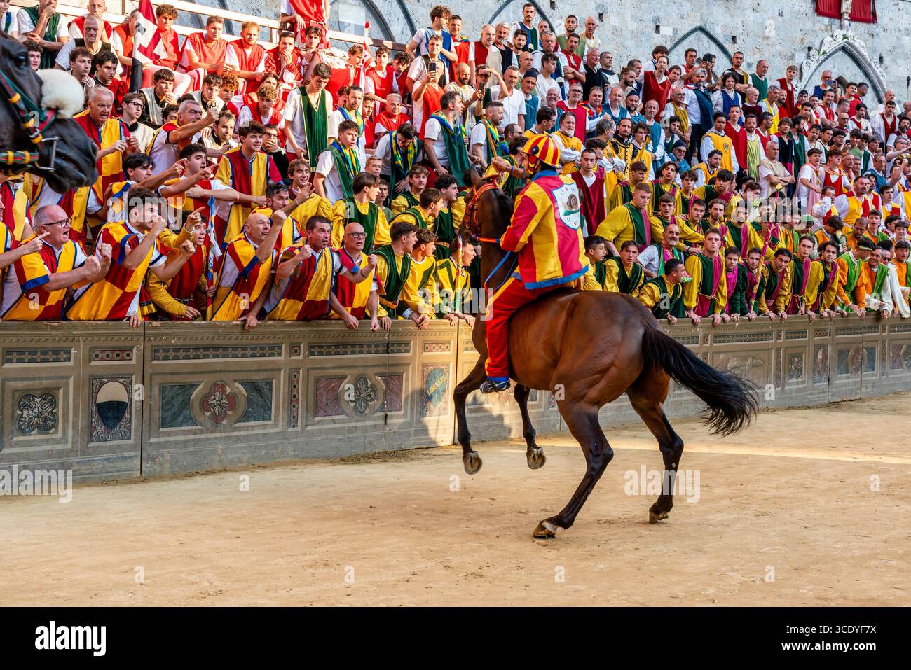 The Horse and Jockey Of The Chiocciola Contrada Enter The Piazza For ...