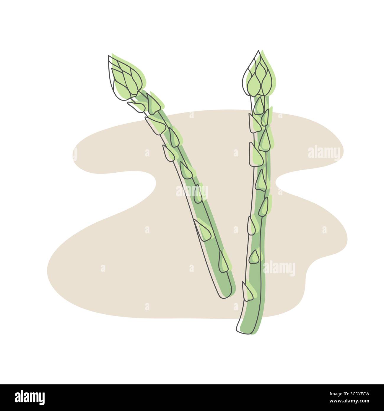 Hand drawn asparagus symbol. Sparrowgrass. Vector illustration Stock ...