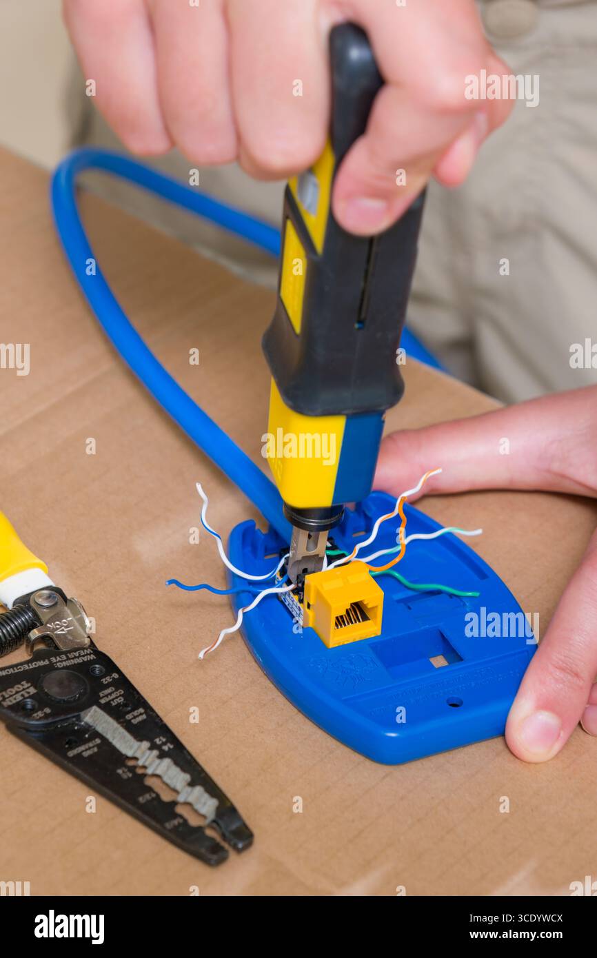 Young woman using a punch down tool to terminate blue Cat-6A ethernet ...