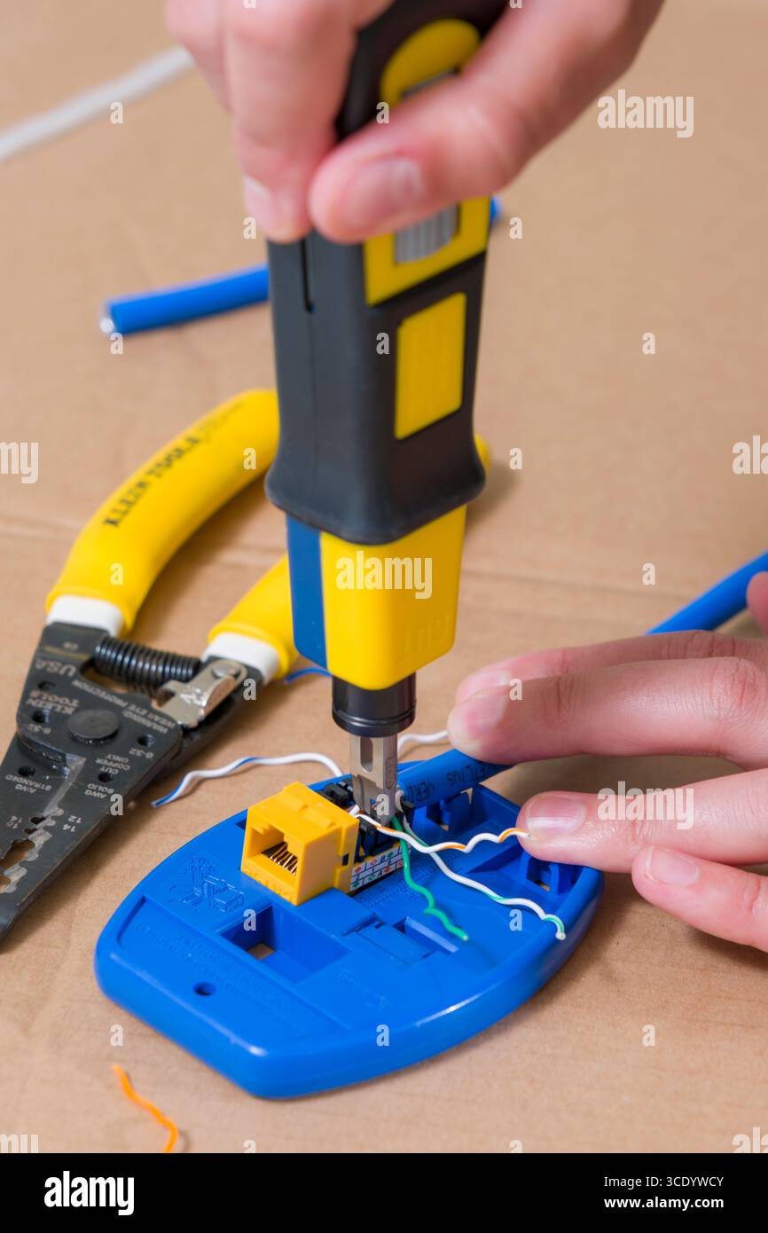 Young woman using a punch down tool to terminate blue Cat-6A ethernet ...