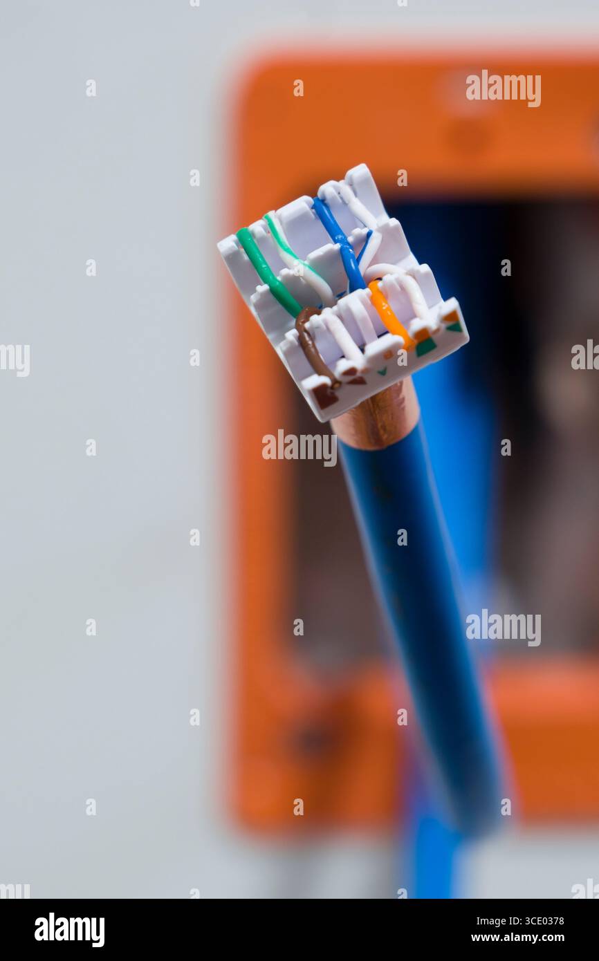 Ethernet Cat-6a cable terminated in 180 keystone bracket Stock Photo ...