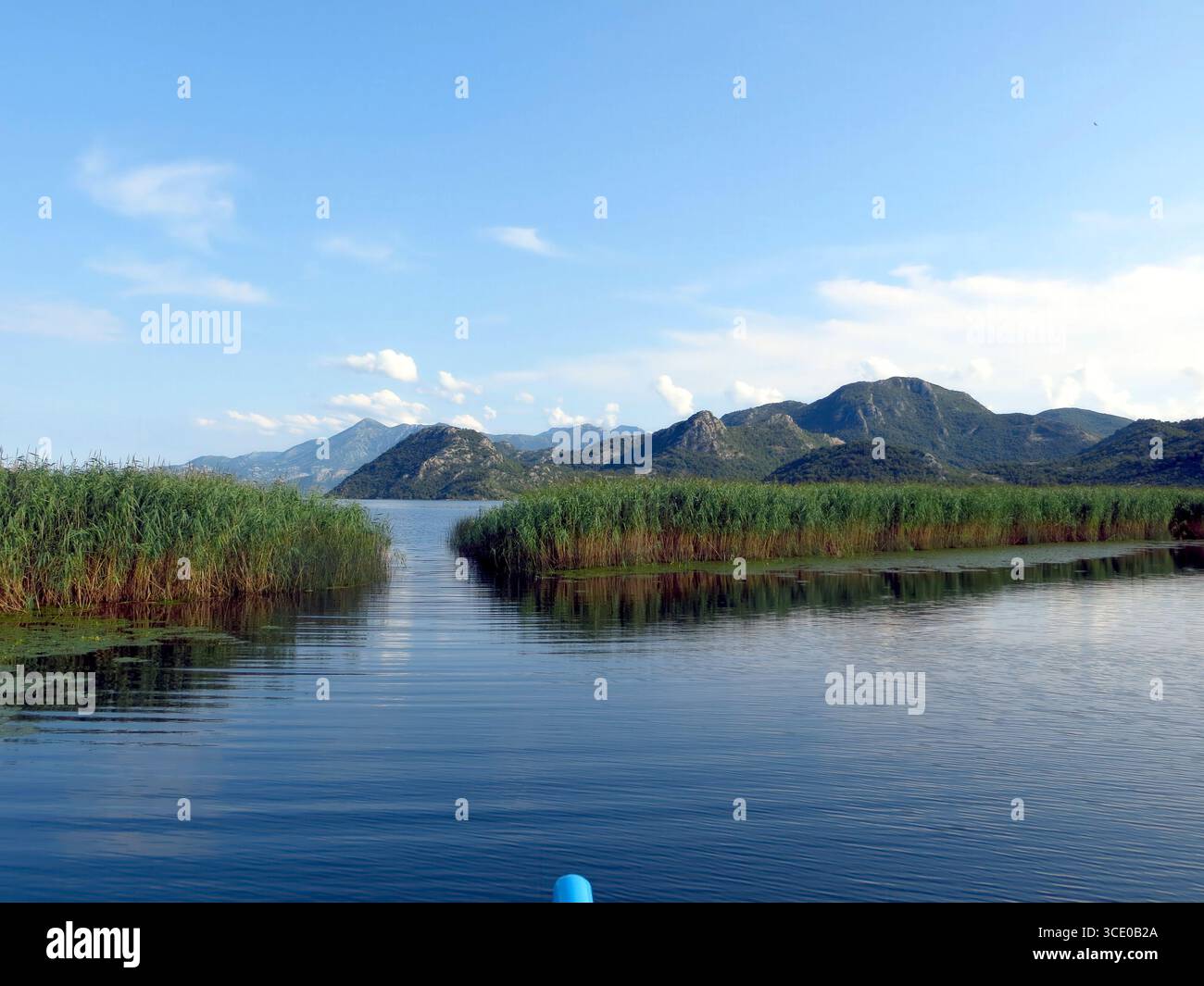 Skadar Lake reflects the stunning Montenegrin landscape, featuring lush ...