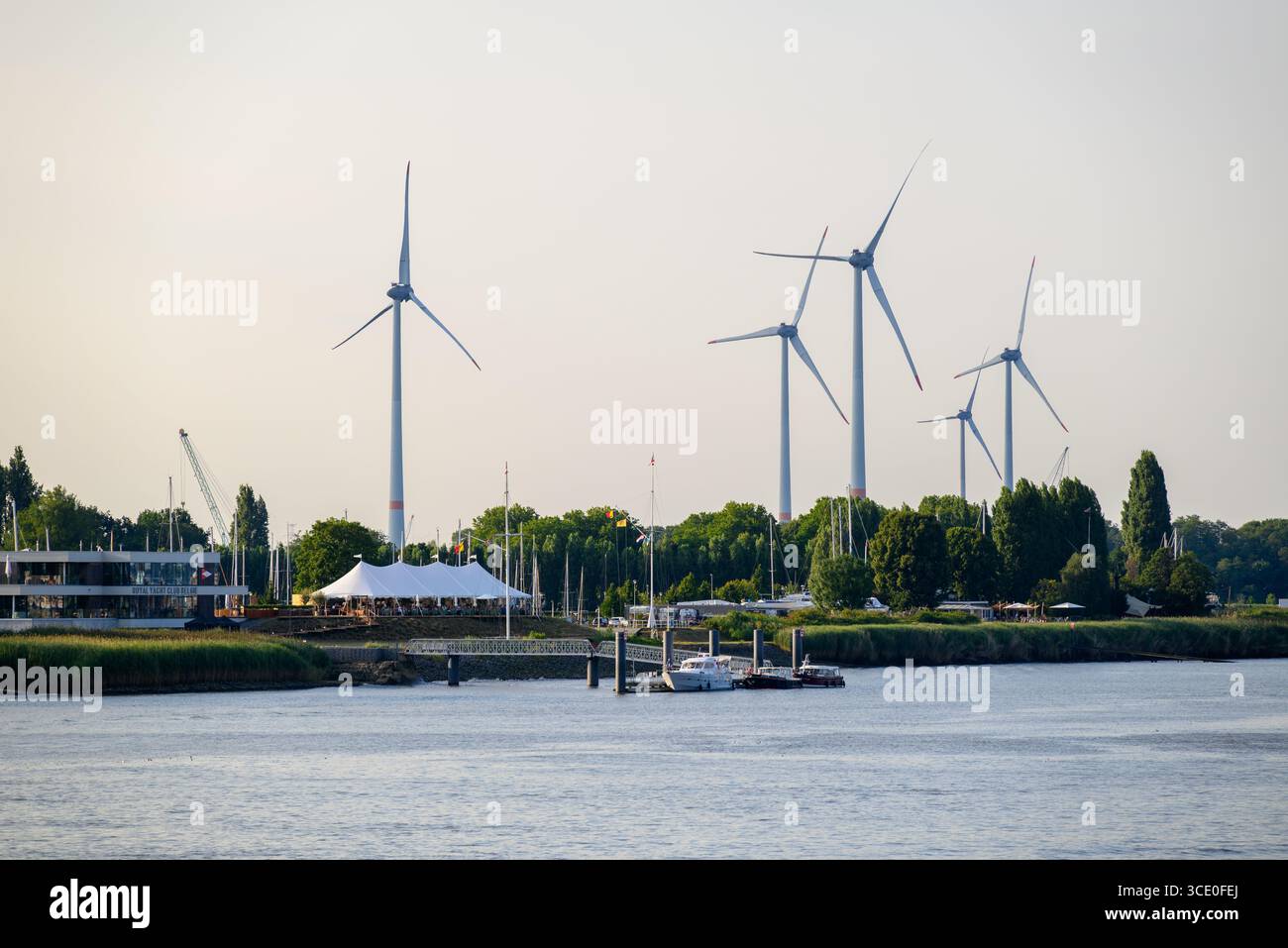 Wind turbines along a waterfront of Scheldt River within industrial ...