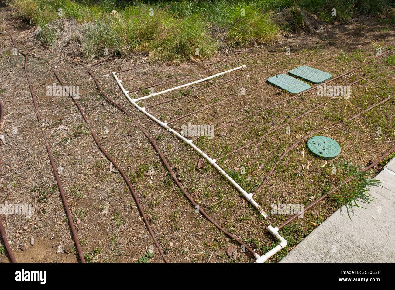 Plastic tubing used for drip irrigation in the semi-arid landscape ...