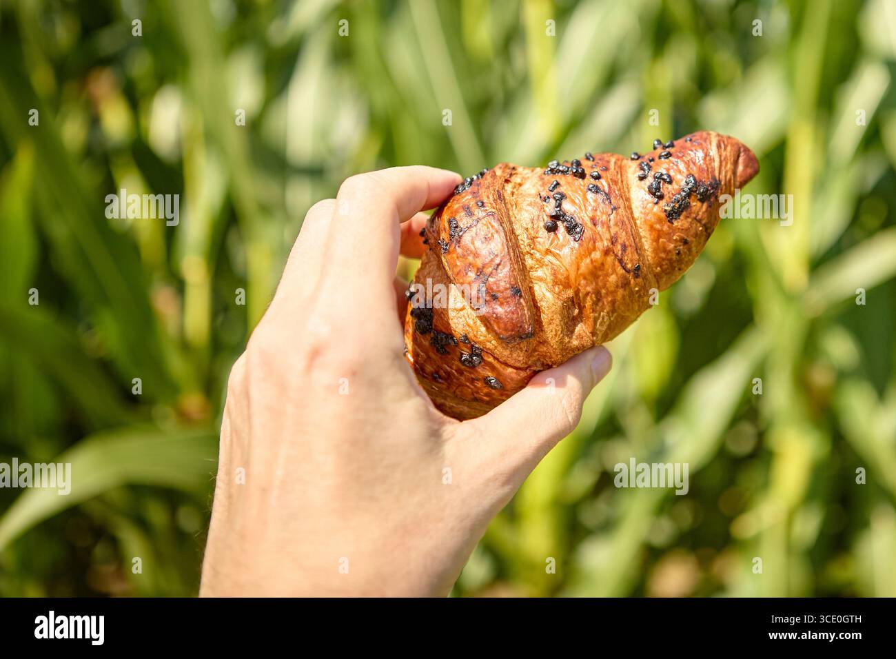 Tall crust hi-res stock photography and images - Alamy