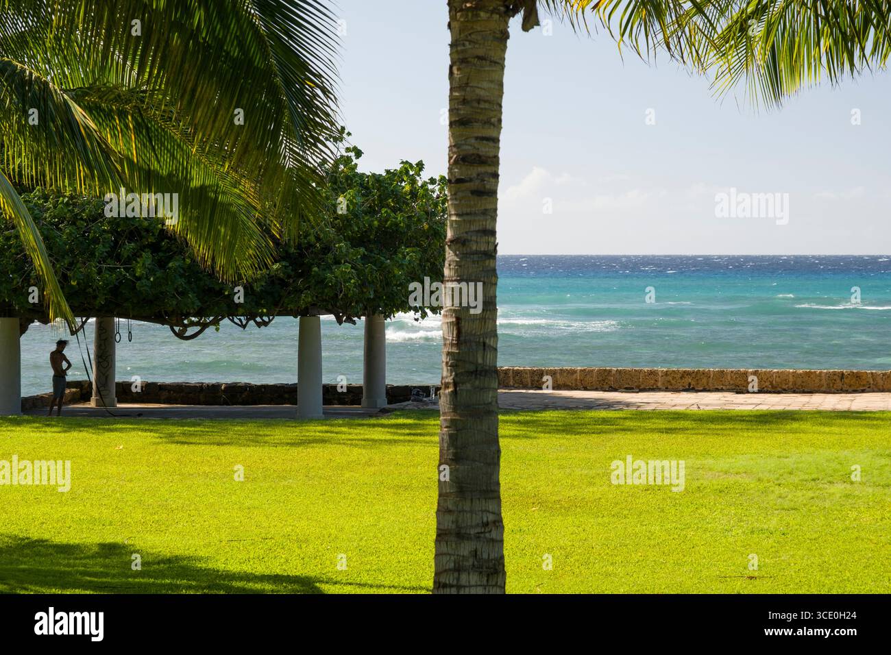 Man standing under trellis supporting a Hau tree in Leahi Beach Park ...