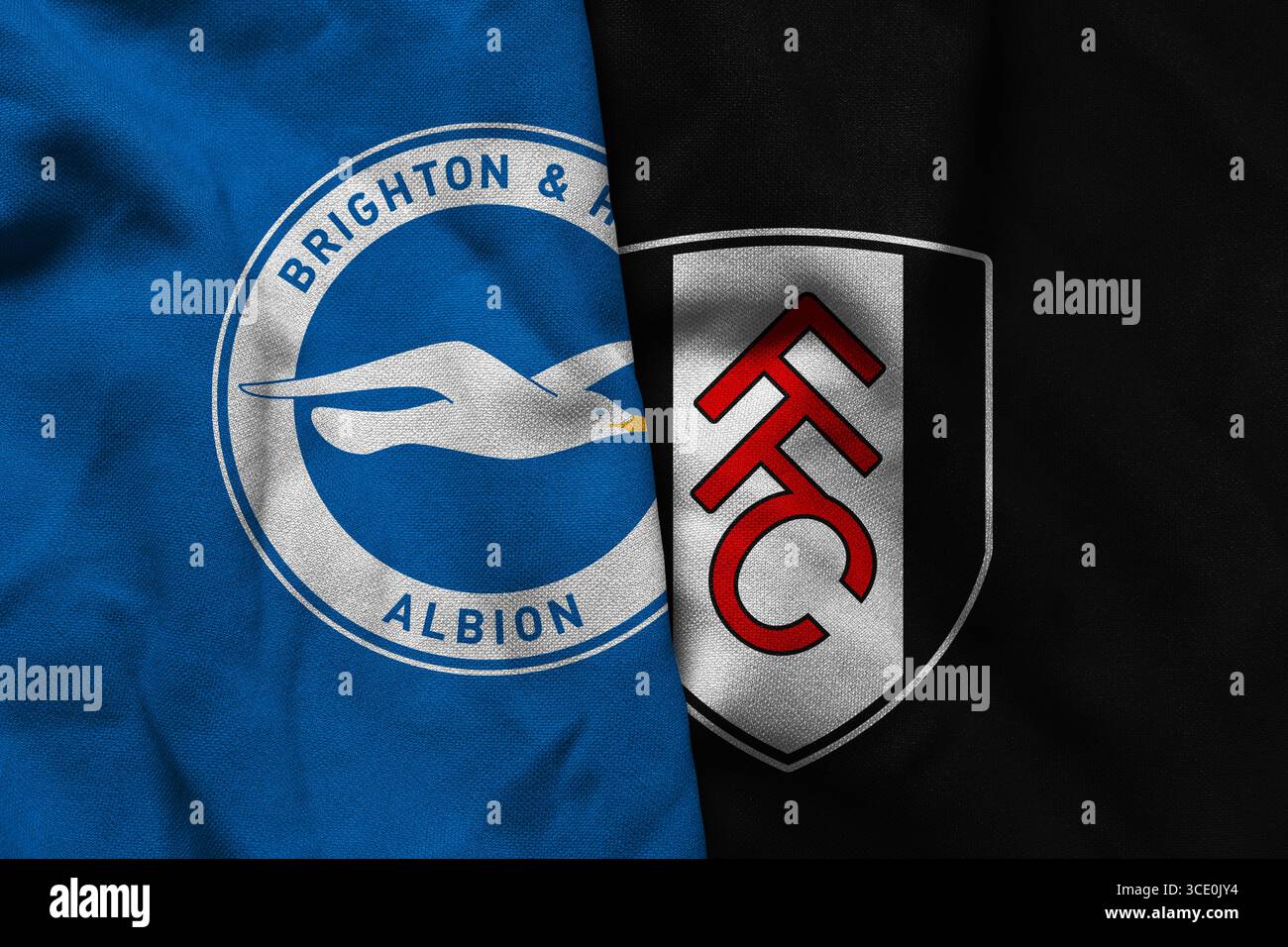 Pringsewu, Lampung; August 15, 2025; Brighton football club logo ...