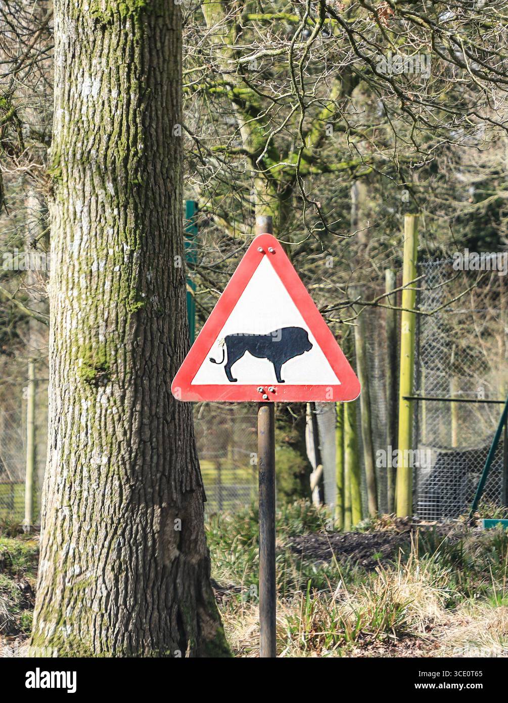A road sign of a Lion at Longleat Safari and Adventure Park, Longleat ...