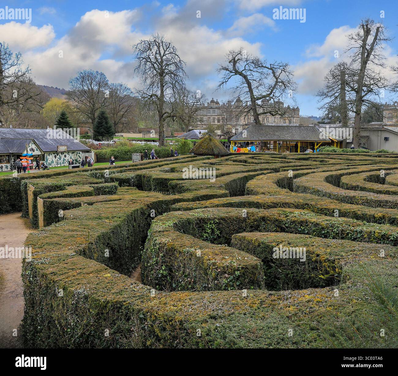The Hedge Maze at Longleat Safari and Adventure Park, Longleat ...