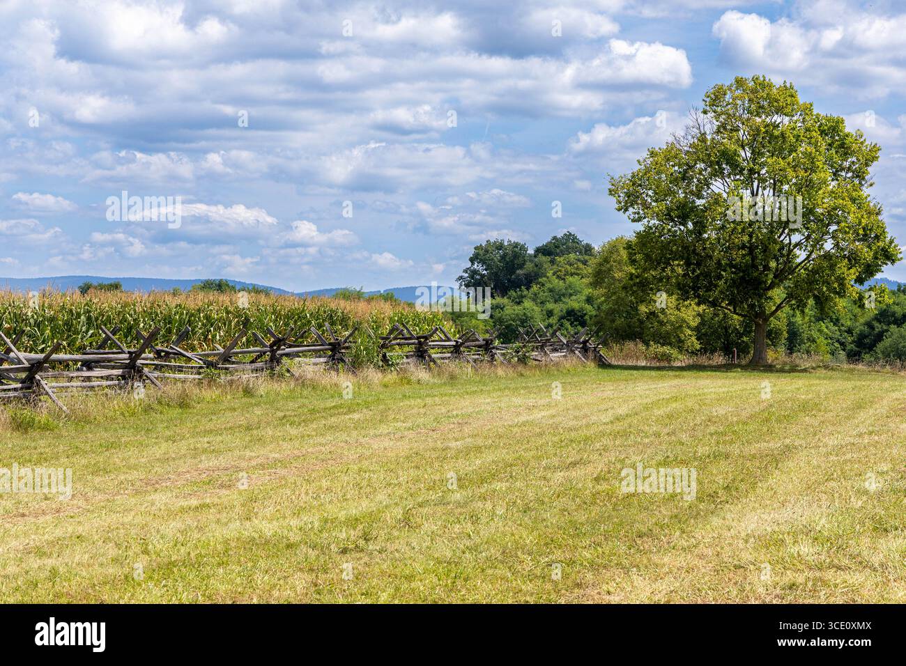 Photo of the Cornfield Boundary at the Antietam National Battlefield ...