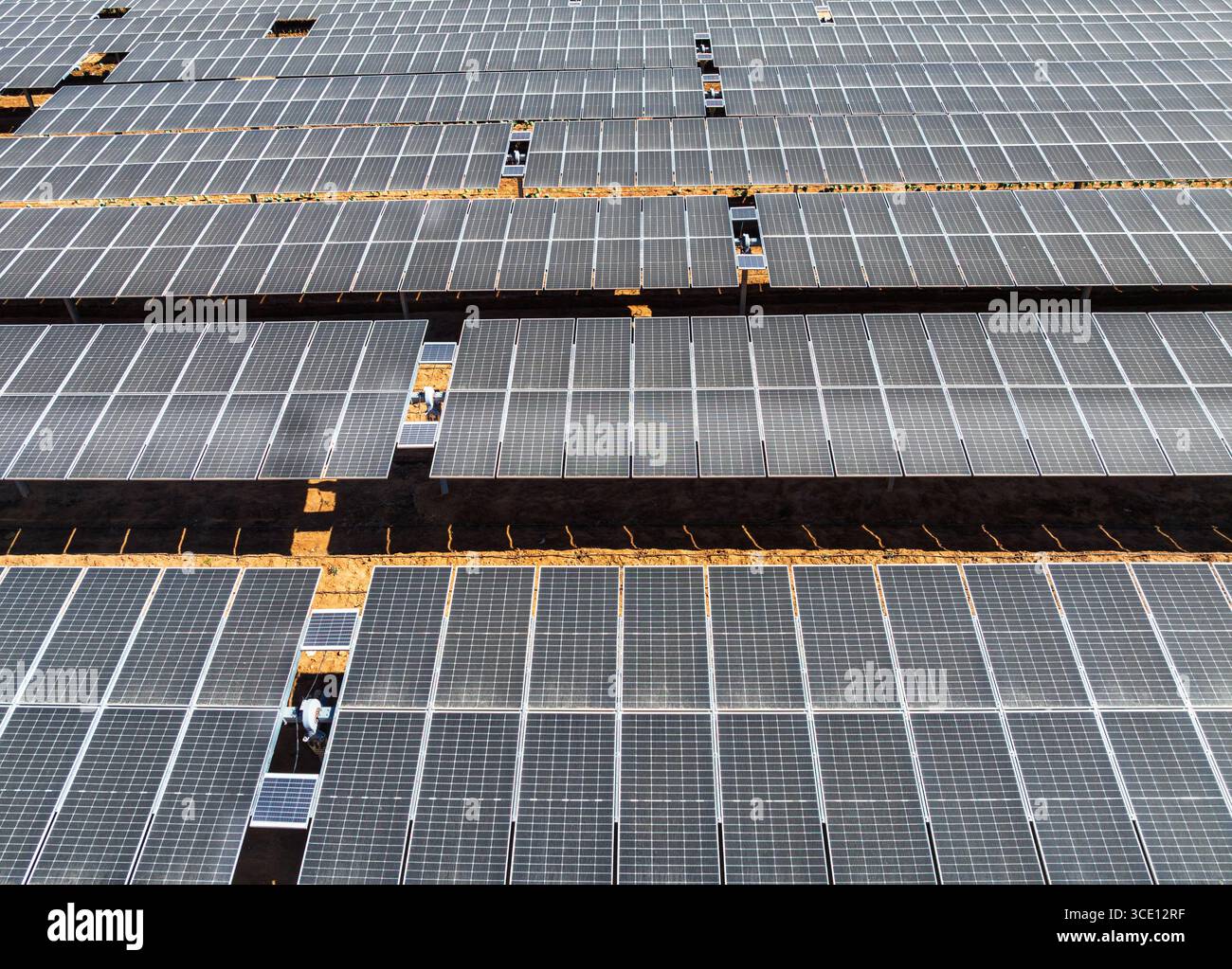 aerial view growing crops under solar panels, , solar park, solar ...