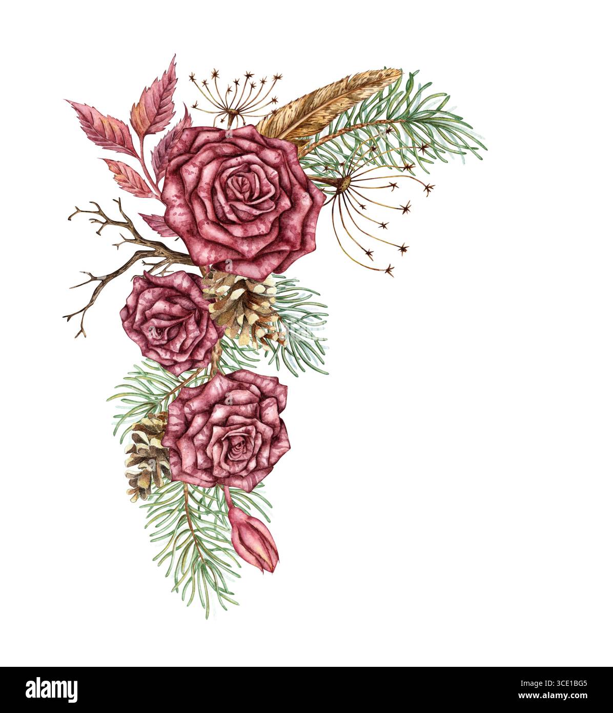 Burgundy rose pine branches Cut Out Stock Images & Pictures - Alamy
