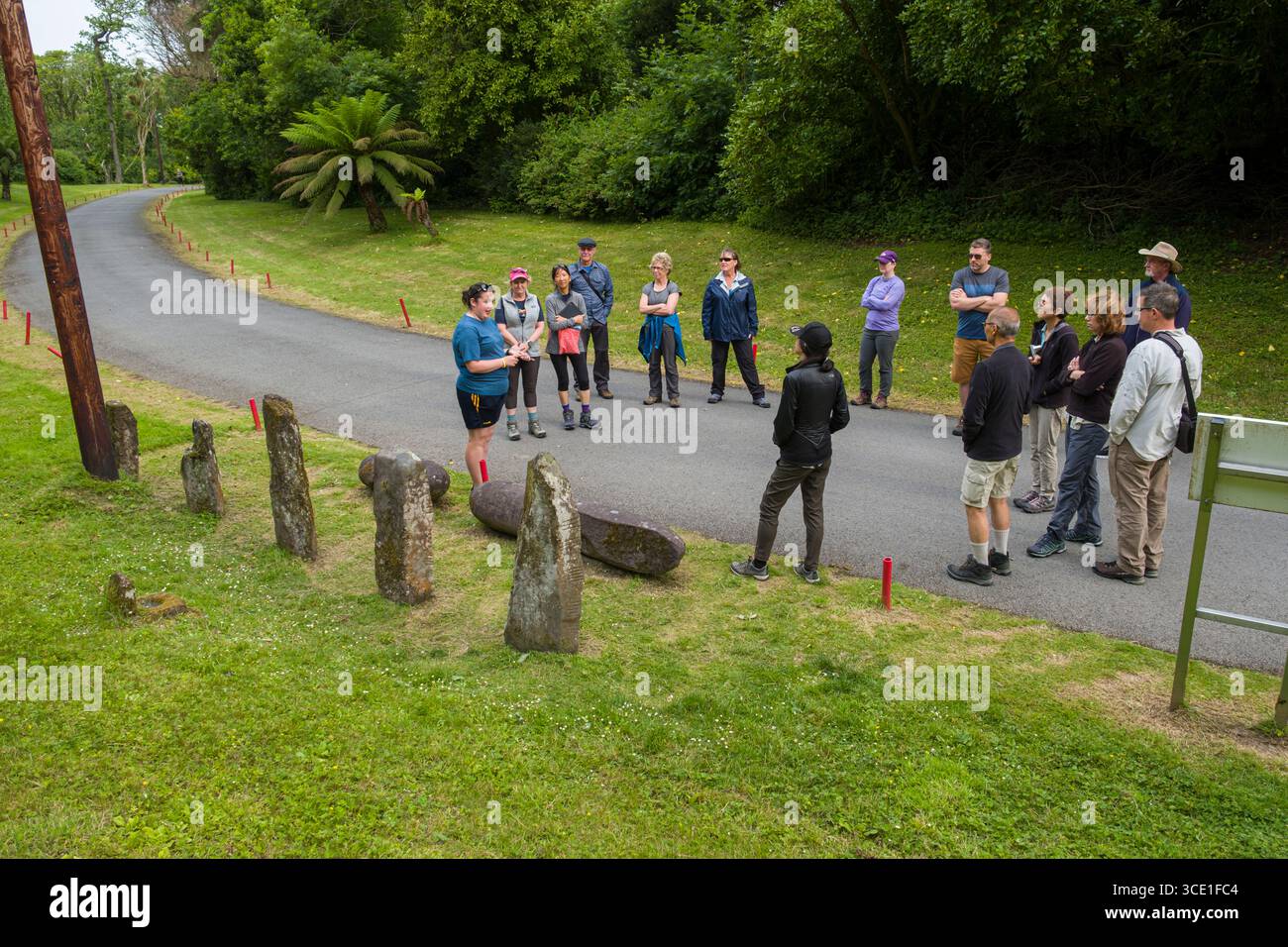 Local Irish female guide speaking to group of tourist about the history ...