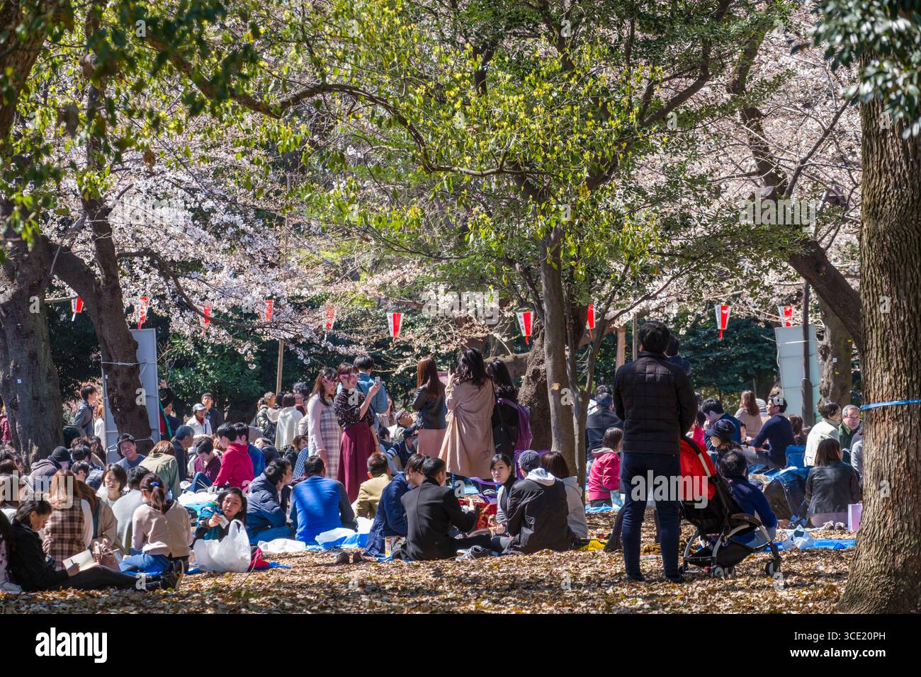 People sitting on plastic tarps enjoying the transient beauty of the ...