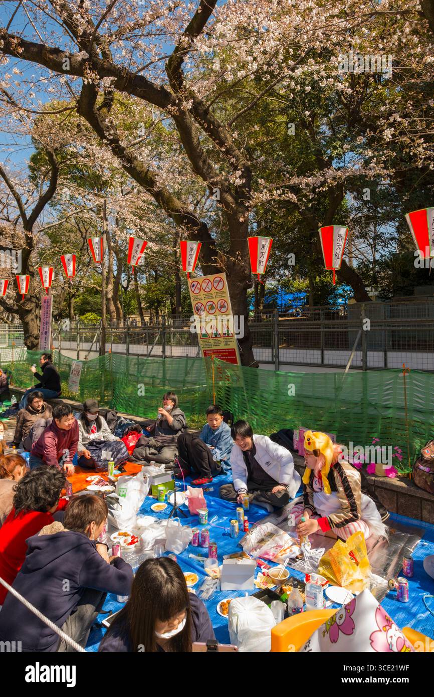 People sitting on plastic tarps enjoying the transient beauty of the ...
