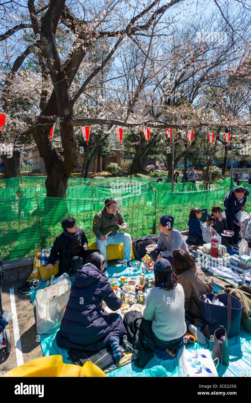 People sitting on plastic tarps enjoying the transient beauty of the ...