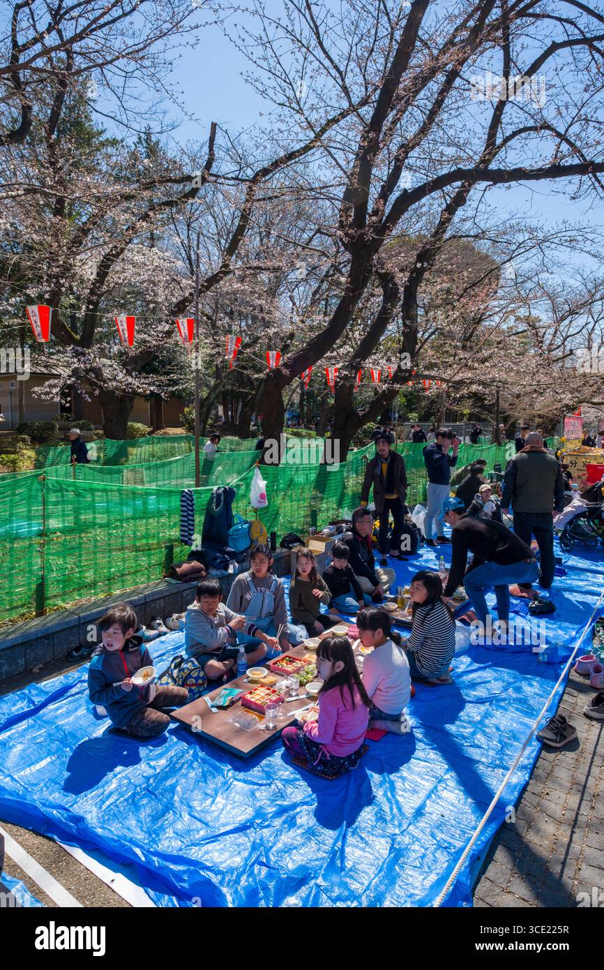 People sitting on plastic tarps enjoying the transient beauty of the ...
