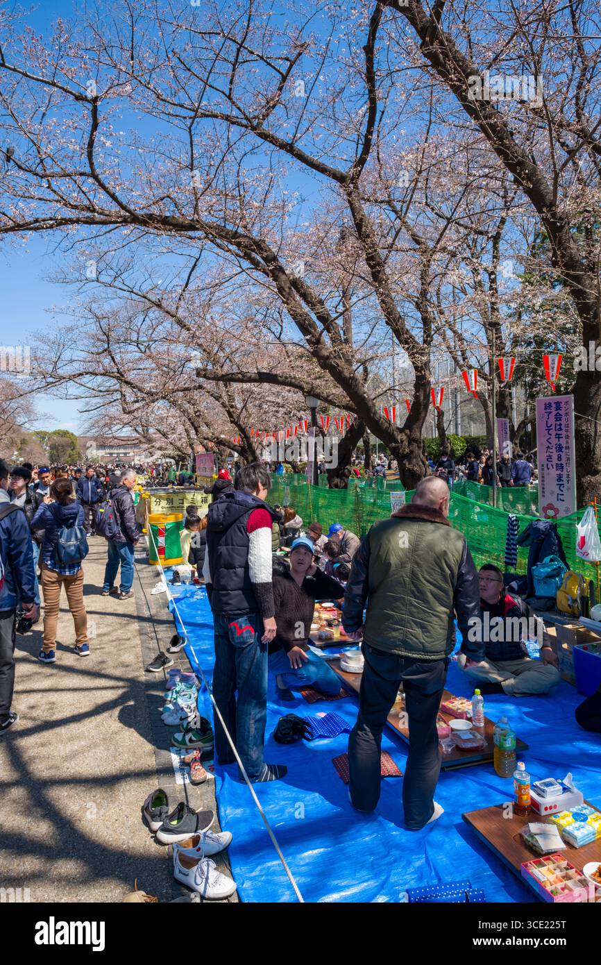 People sitting on plastic tarps enjoying the transient beauty of the ...