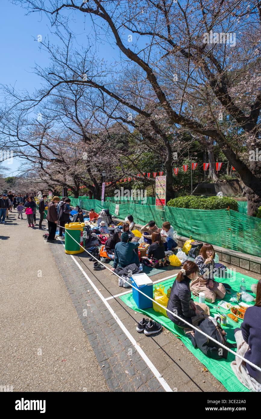 People sitting on plastic tarps enjoying the transient beauty of the ...