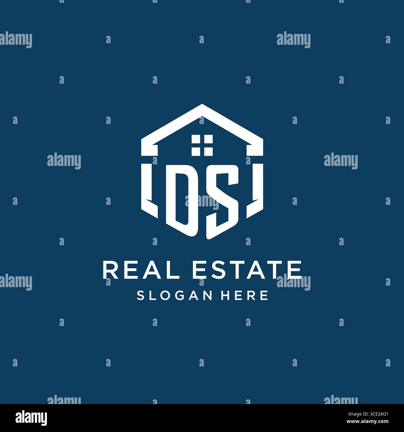 Letter DS logo for real estate with hexagon style vector graphic Stock ...